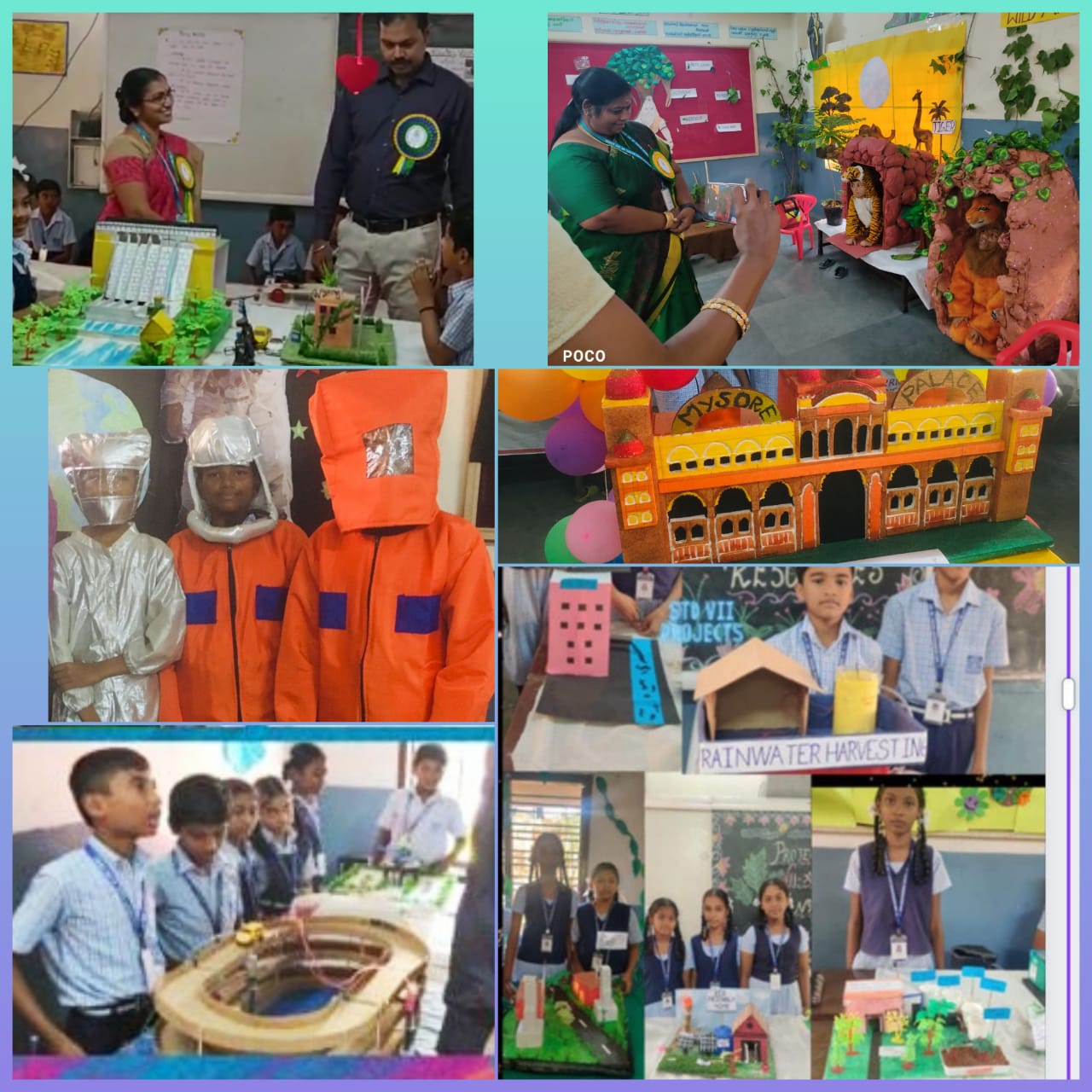 Project day - Shri Krishnaswamy School | Villivakkam